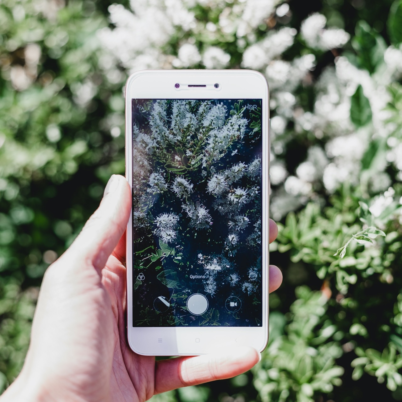 Free And Easy Photo Collage Apps For Your Mobile Device