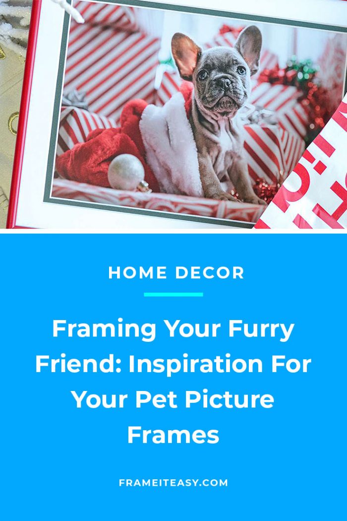 Frame Your Furry Friend: Inspo For Your Pet Picture Frames