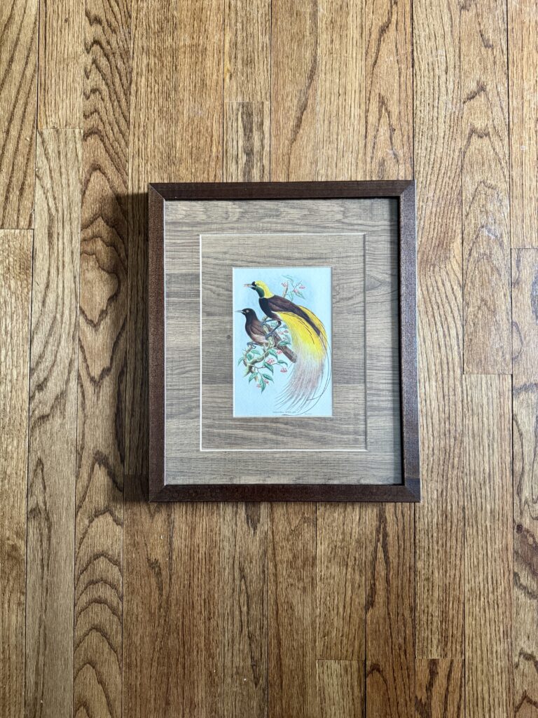 Wood Frame Types: A Guide To 3 Types Of Wood Frames