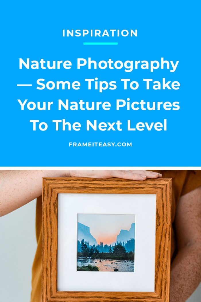 Amazing Nature Photography: Take Your Pics To The Next Level