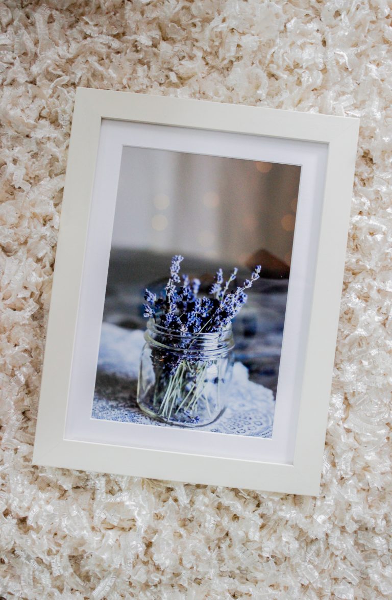 Five Ways To Incorporate Plants Into Your Frame Decor