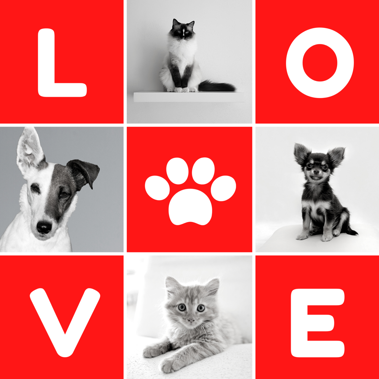 Fun With Photo Grids: How To Create & Display Photo Grid Art