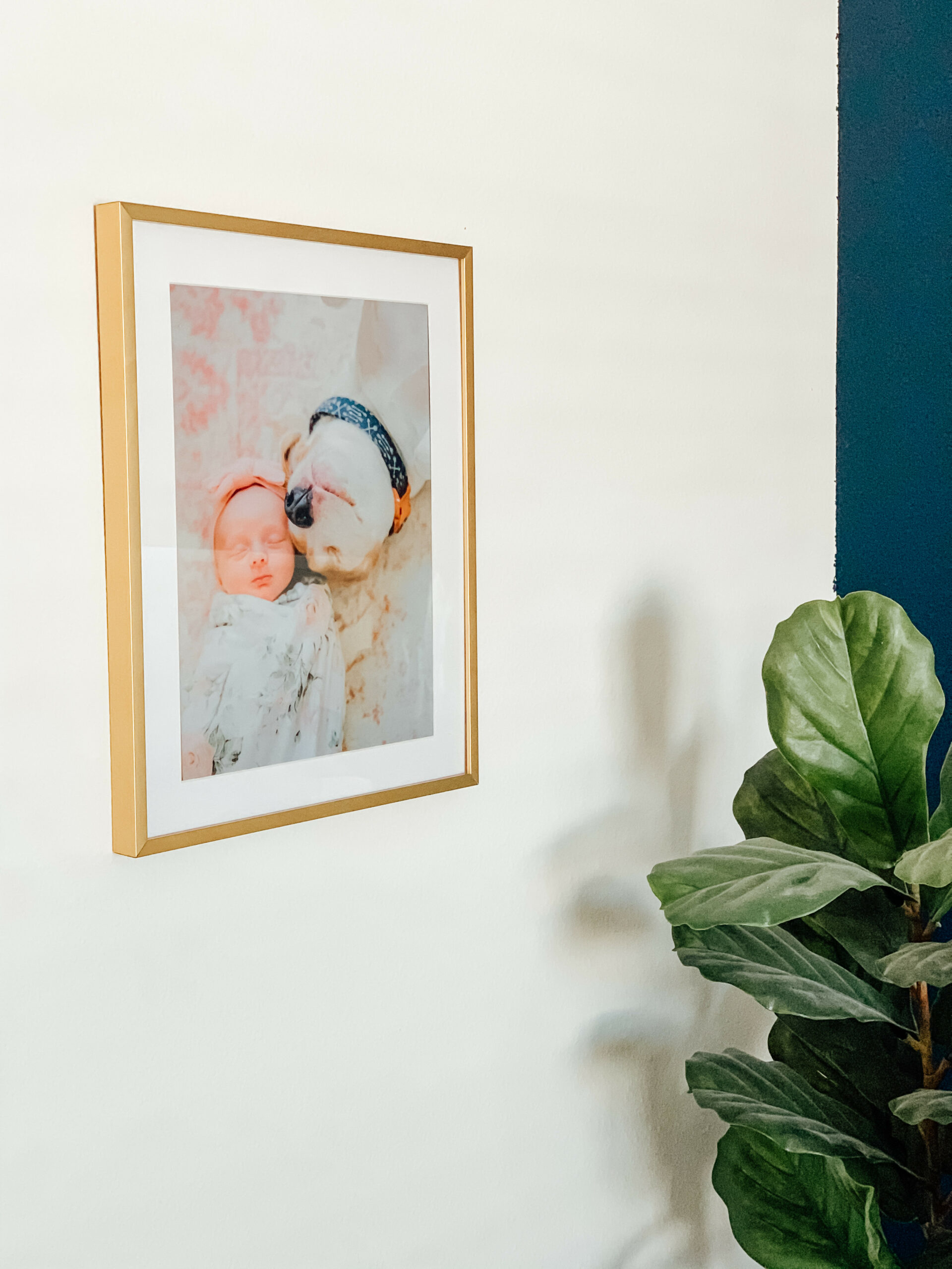 5 Creative Ideas & Framing Tips For Your At Home Photoshoot