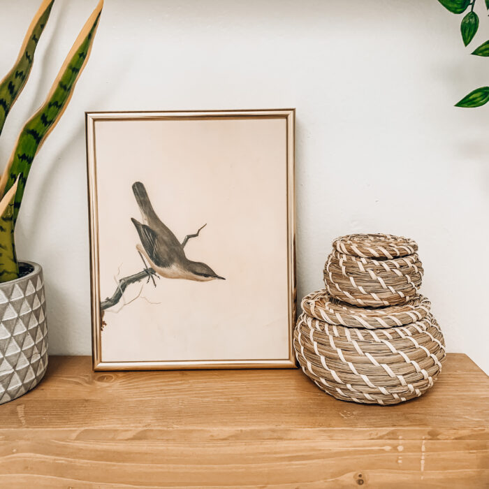 Wildlife Photography: The Essential Guide Plus 10 Bonus Tips