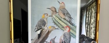 Learning Center: Picture Framing 101 - Frame It Easy