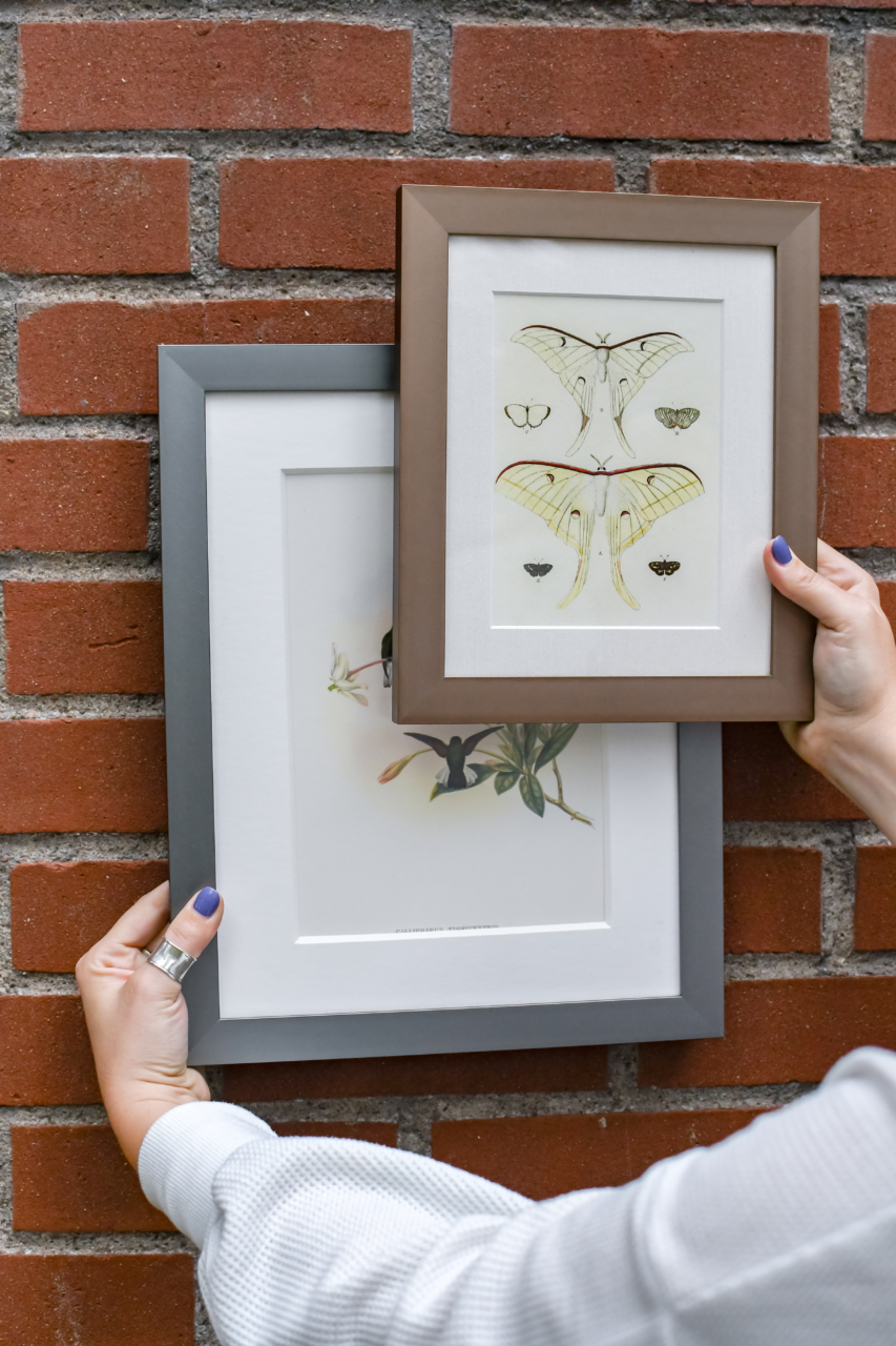 A Guide To Metallic Picture Frames: Let Your Walls Shine!