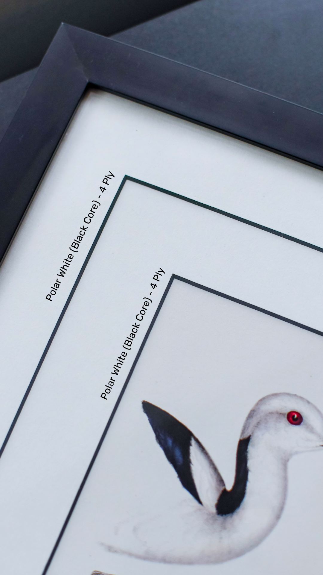 Choosing The Perfect Matboard Color For Your Custom Frame